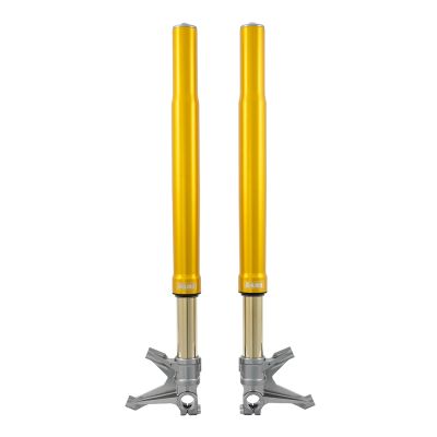 alpha Racing Motorrad Gabel und Gabelbrücke