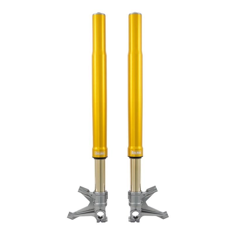 Öhlins FGR 250 Racing Gabel | SU-FGR250